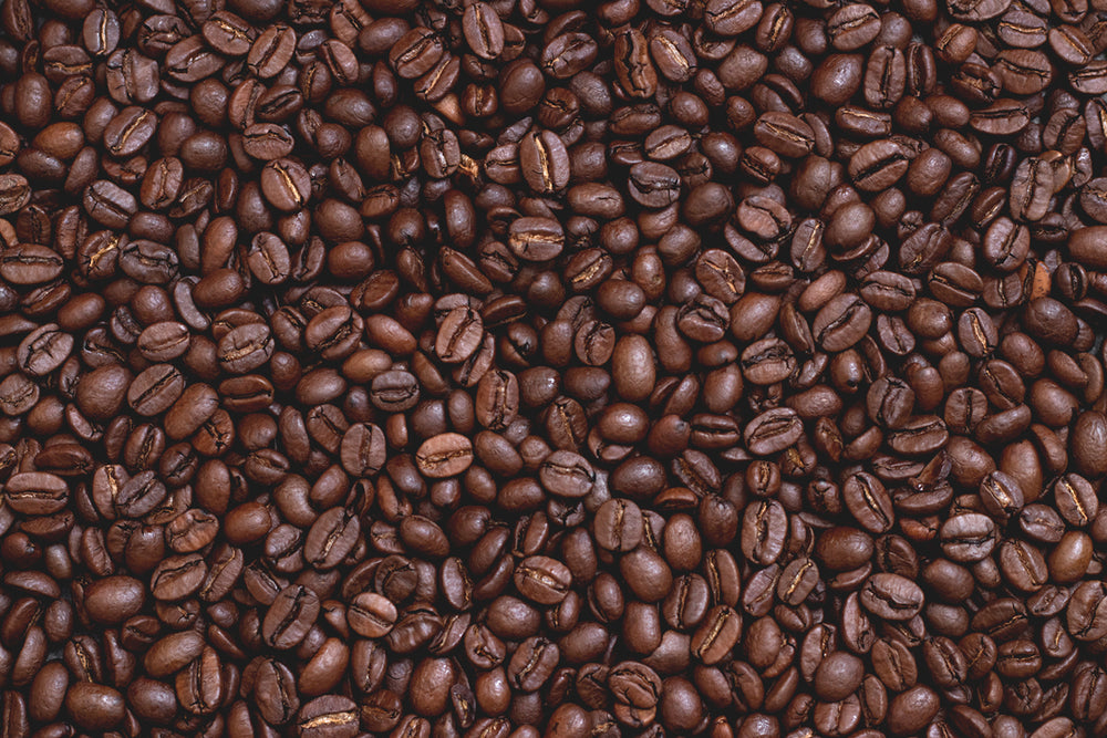 Roast Levels – Coffee By Design